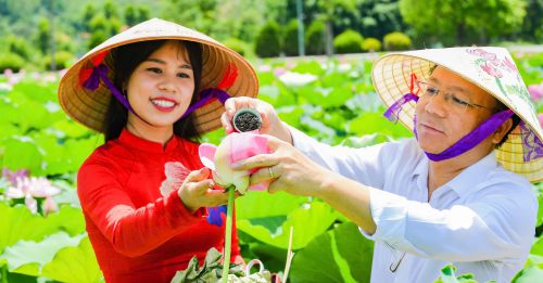 Chủ tịch HUTC Trương Quốc Hùng: Tour trải nghiệm sen Kiếp Bạc 2025 độc ...